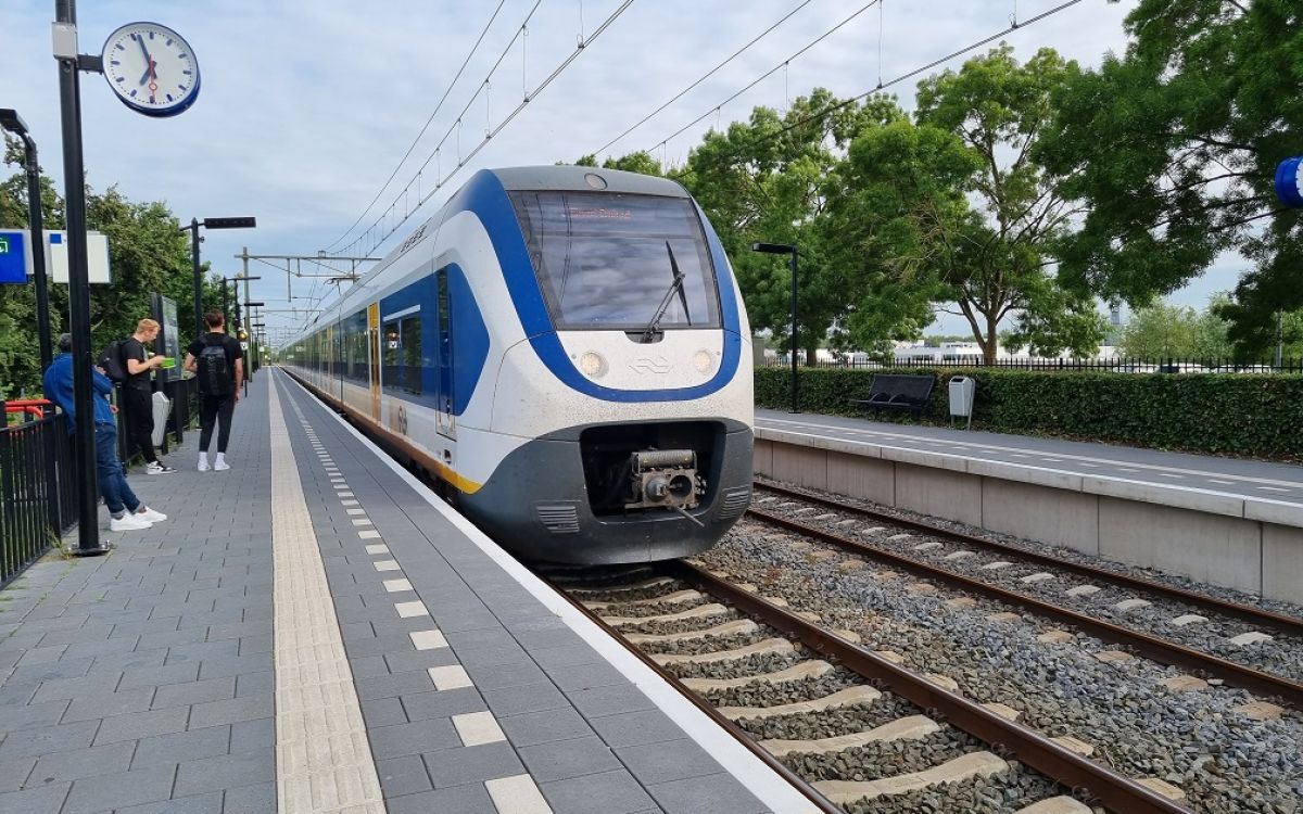 Dienstregeling 2024: welkom terug! - Rover