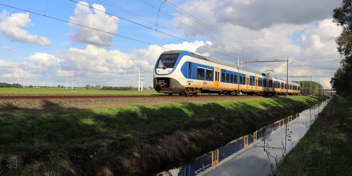 Bedankt voor je inzending - Rover